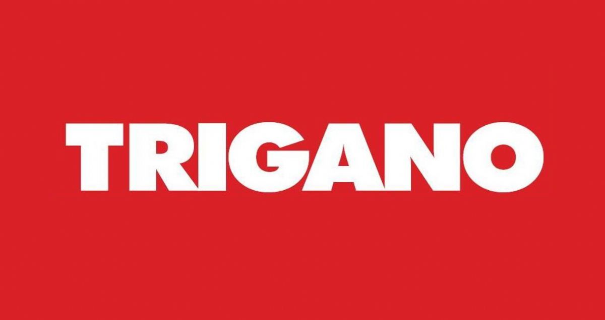 Nuovo Amministratore delegato nel gruppo Trigano in Italia | CamperOnLine